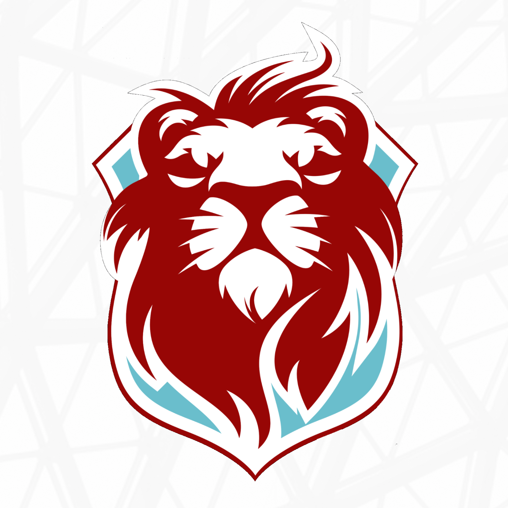 Events & Community Fundraising Organiser | Hastings United Football Club